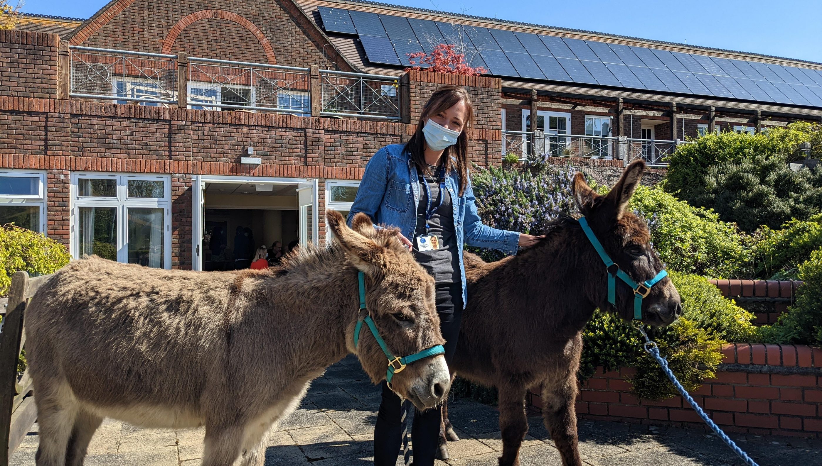 A donkey visit is not just for Christmas! - Weldmar Hospicecare