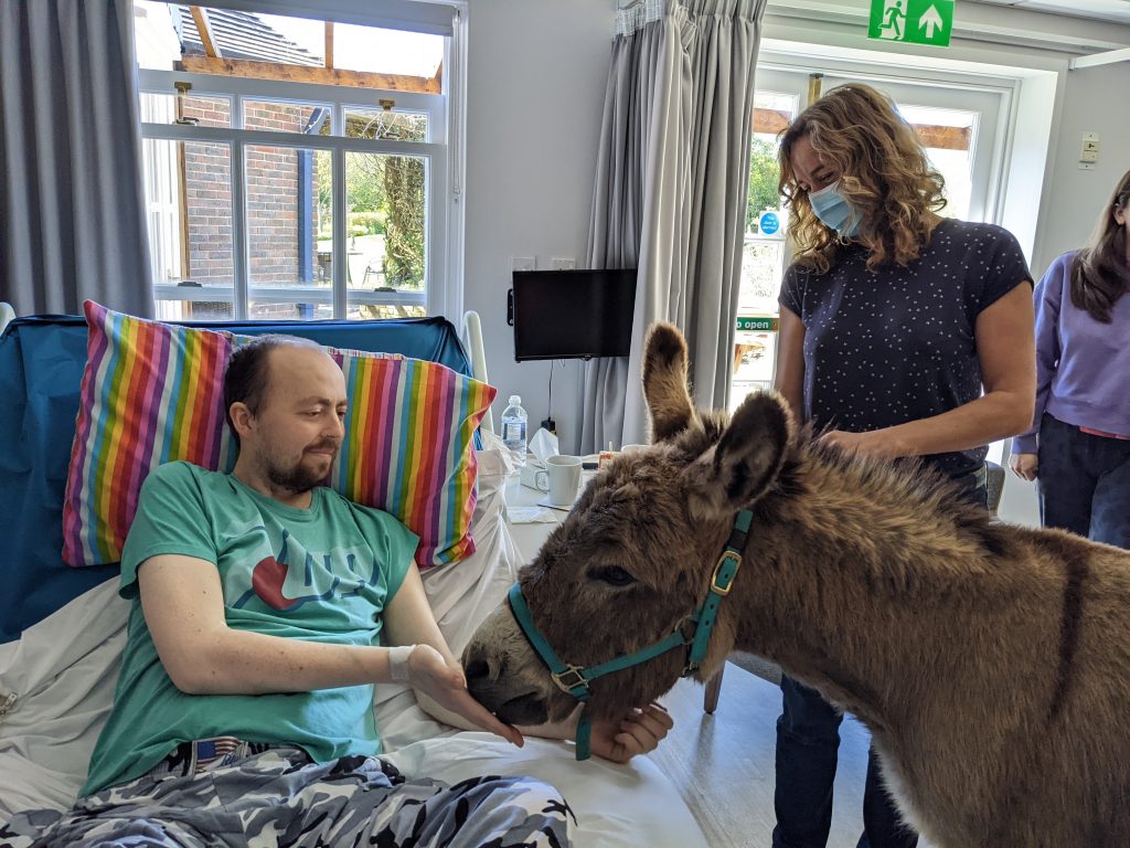 A donkey visit is not just for Christmas! - Weldmar Hospicecare