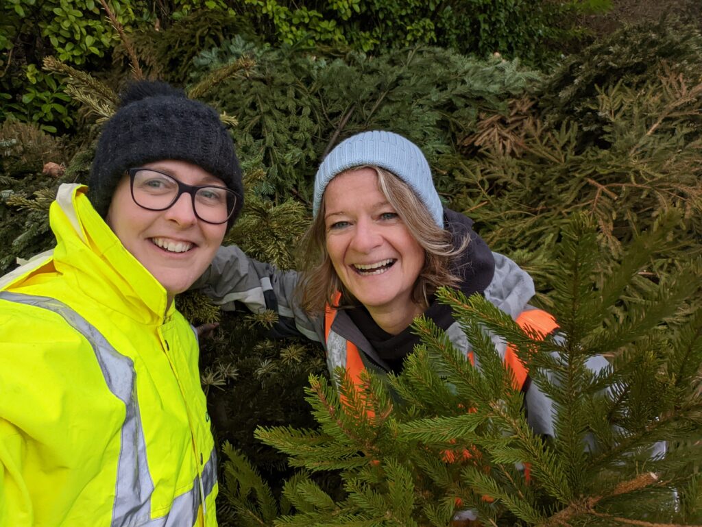 Weldmar's annual Treecycle | Weldmar Hospice Care